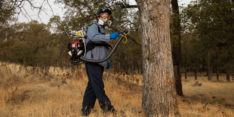 Chemical Control | PMVCD